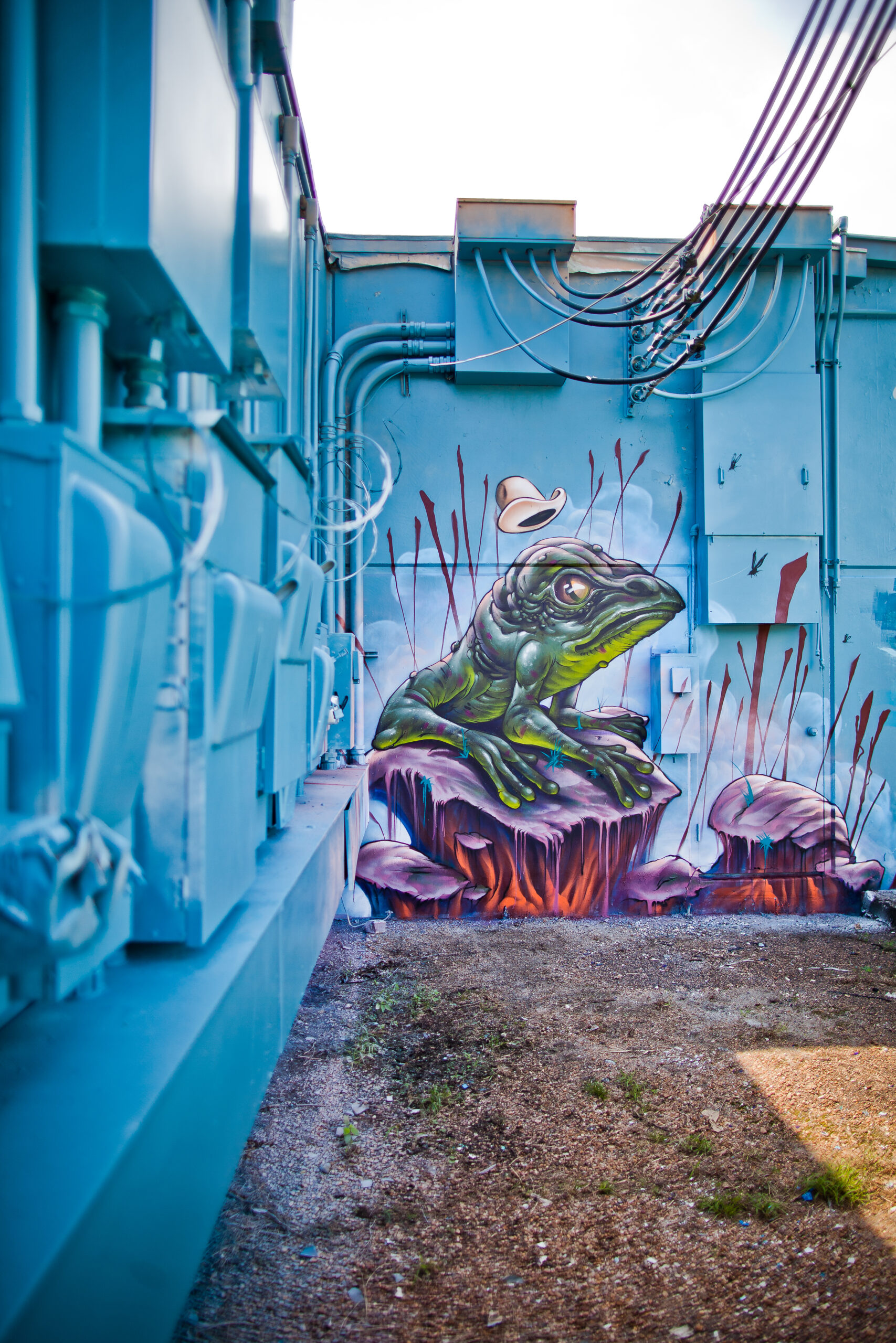 Bruno Smoky at White Oak Bayou Village - Houston Mural Map