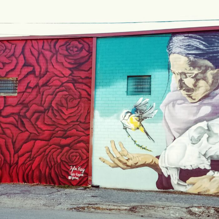Tyler Kay at Railroad Art Alley - Houston Mural Map